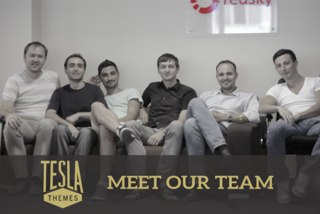 Interview: Meet the TeslaThemes Team – WPRealEstate